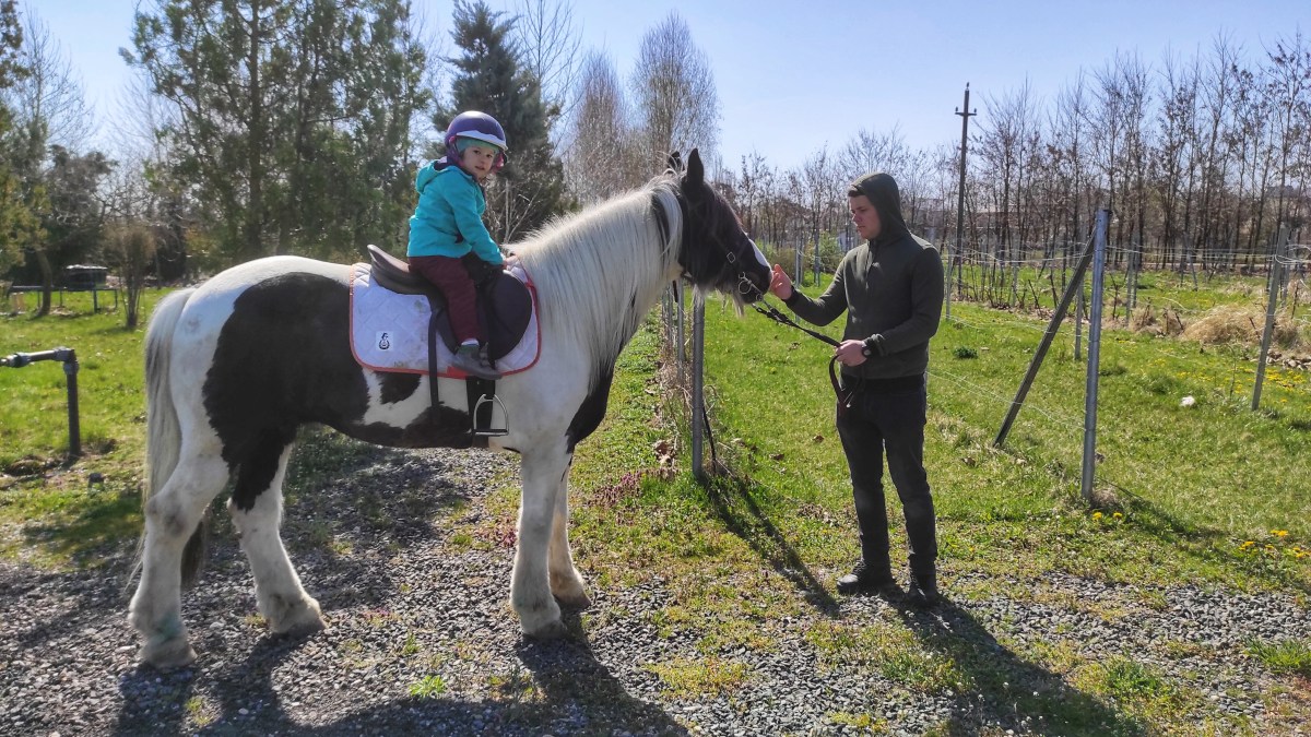 Cu copiii la fermă, lângă București. Ferma Pedagogică Săbăreni şi ...
